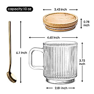 Combler Glass Coffee Mugs, Espresso Cups for Coffee Bar Accessories, Clear Coffee Mug Set of 2, 11oz Glass Coffee Cups with Lids and Spoon, Cute Ribbed Glassware Set for Latte, Cappuccino, Tea, Gift