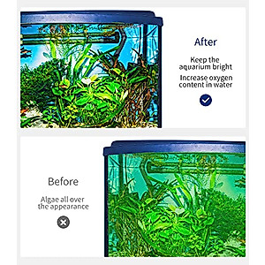 Faveetie Aquarium Algae Scraper for Glass Aquariums with 5 Replaceable Blades, Fish Tank Algae Scraper with Segmented Extension Rod, Aquarium Scraper Aquarium Cleaning Tools for Fish Reef Plant