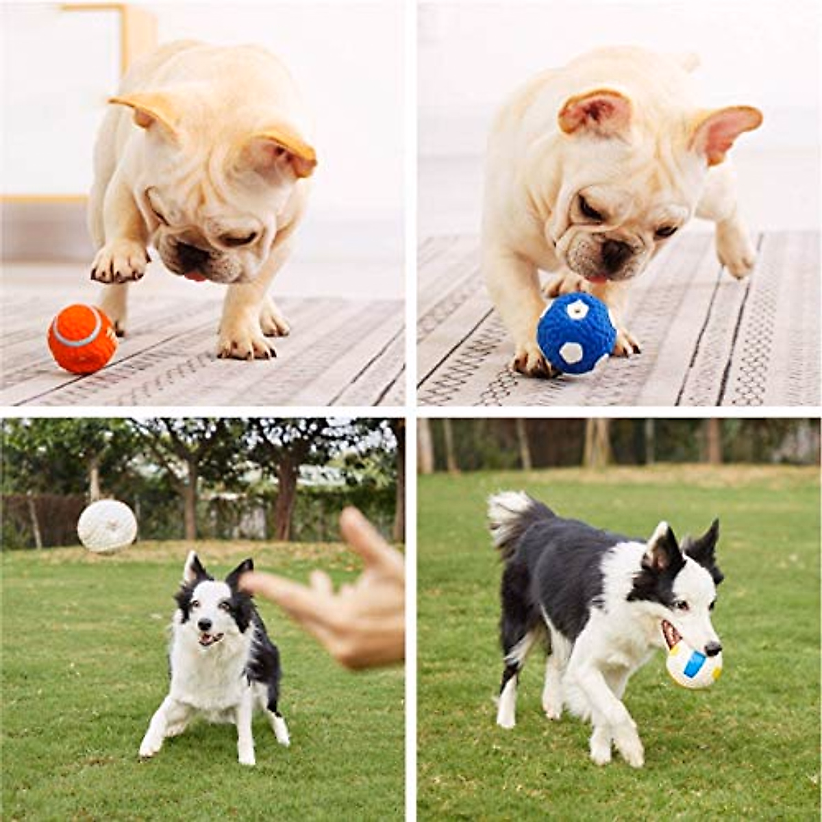 NC Popular Dog Toy Latex Rugby Tennis Dog bite Vocal Ball pet Toy