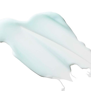 Dr Dennis Gross Hyaluronic Marine™ Oil-Free Moisture Cushion: for Dull, Dehydrated or Dry Skin, 2 fl oz