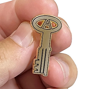 BL15-014 24KT Gold Plated Correctional Officer Jail Prison Key pin CO Corrections Thin Gray Line