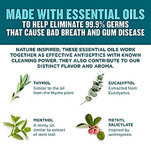 Listerine Ultraclean Oral Care Antiseptic Mouthwash, Everfresh Technology to Help Fight Bad Breath, Gingivitis, Plaque & Tartar, ADA-Accepted Oral Rinse, Cool Mint, 1 L, Pack of 2