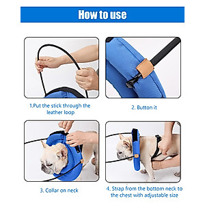 Blind Dog Bumper Halo,Harness Guiding Device for Blind Dog,Pet Anti-Collision Ring for Protective&Build Confidence,Blind Dog Accessories