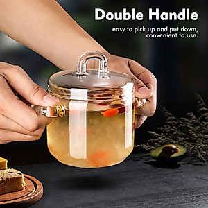 Glass Simmer Pot Thickened Glass Cooking Pot 350ml Glass Potpourri Simmer Pot Clear Pot Microwave Safe Saucepan for Soup Pasta Noodle Milk Food