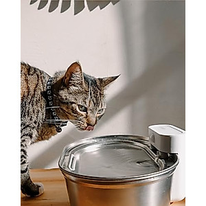uahpet Cat Water Fountain Stainless Steel, 67oz/2L Wireless Pet Fountain, Battery Operated Dog Water Dispenser, Ultra Quiet for Cats, Dogs with 3pcs Filters