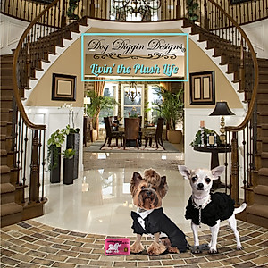 Dog Diggin Designs Credit Card Collection | Unique Squeaky Parody Plush Dog Toys – Don’t Leave Home Without It