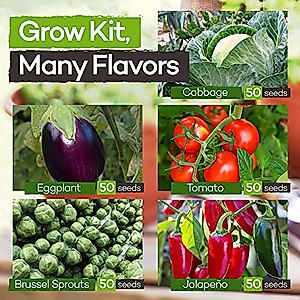 Vegetable Garden Starter Kit – 250+ Vegetable Seeds with Germination Seed Starter Tray, Soil, Markers, & Grow Guide - Vegetable Indoor Garden Kit - Indoor Seedling Seed Starter Kits