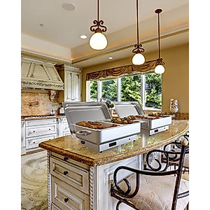 RIEDHOFF 2 x 4.5QT Half-Size Electric Chafing Dish Set with Temperature Control, Stainless Steel Chafer, Food Warmer for Catering and Food Servers