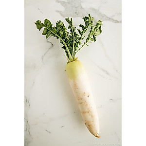 Fresh Daikon Radishes 2 lbs.