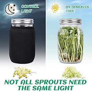 Seed Sprouting Jar Kit with 2 Wide Mouth Mason Jars Bean Sprouts Growing Kit Microgreens Growing Jar with Mesh Screen Lids Sprouter Sprouts Maker for Growing Broccoli, Alfalfa, Mung Bean