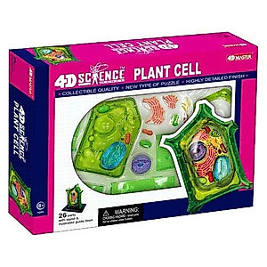 Teaching Model, Anatomy Model for Students, Detailed Plant Cell Anatomy Model - 24 Detachable Parts, Cross-Section Plant Cell Model, Plant Anatomy, Science Classroom Accessories (Age 8+) Anatomy Biolo