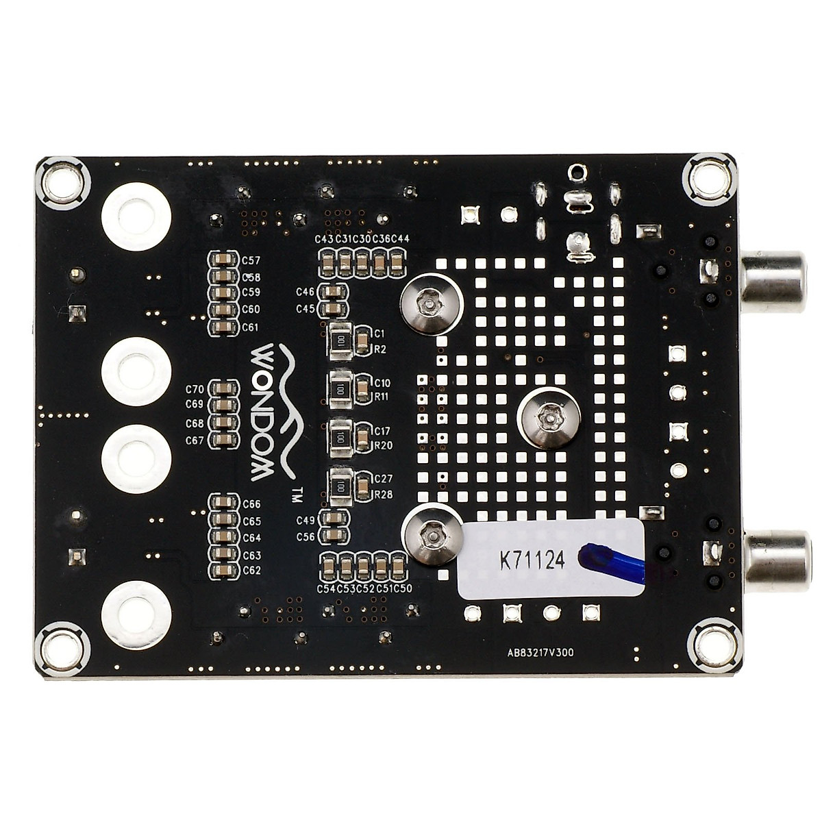 2 X 50W 2 Channel Dual Channel amp Board Sure Electronics WONDOM 2 X 50Watt Class D Audio Amplifier Board - TPA3116 TPA3116D2 Stereo for Bird Repellent