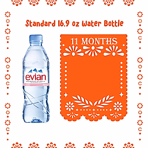 Kreatwow Mexican Photo Banner Fiesta Monthly Banner Papel Picado for 1st Birthday Party Decorations from Newborn to 12 Month