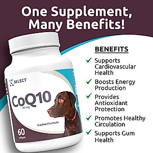 K9 Select CoQ10 Supplement for Dogs, 30mg - 60 Soft Gels per Bottle - Pet Supplement, CoQ10 for Dogs, Nutritional Softgels for Canine Heart Health, CoQ10 for Cardiovascular & Gum Health, Energy
