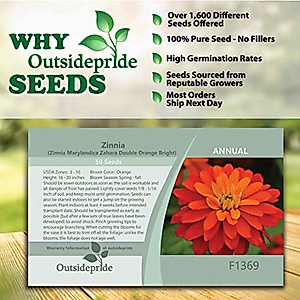 Outsidepride Zinnia Zahara Double Bright Orange Heat & Drought Tolerant Garden Cut Flowers - 50 Seeds