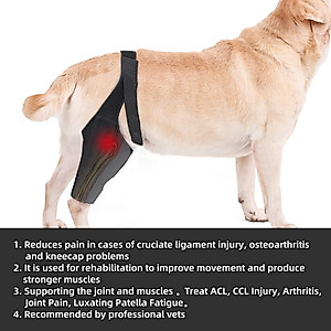 2X Support Dog Knee Brace with Metal Strips for Joint Pain Relief, Dog Leg Brace for Torn Acl Hind Leg, Rear Leg Brace with Adjustable Traction Belt for Cruciate Ligament Injury, Arthritis (Large)