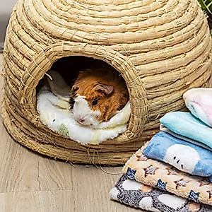 CUSOZWO Guinea Pig Bedding Mat - 6 Pack Fleece Soft Warm Small Animal Blankets for Rat Rabbit Hamster Chinchilla Hedgehog Lizard - Washable Small Pet Cage Liners Sleep Mat Bedding Accessories