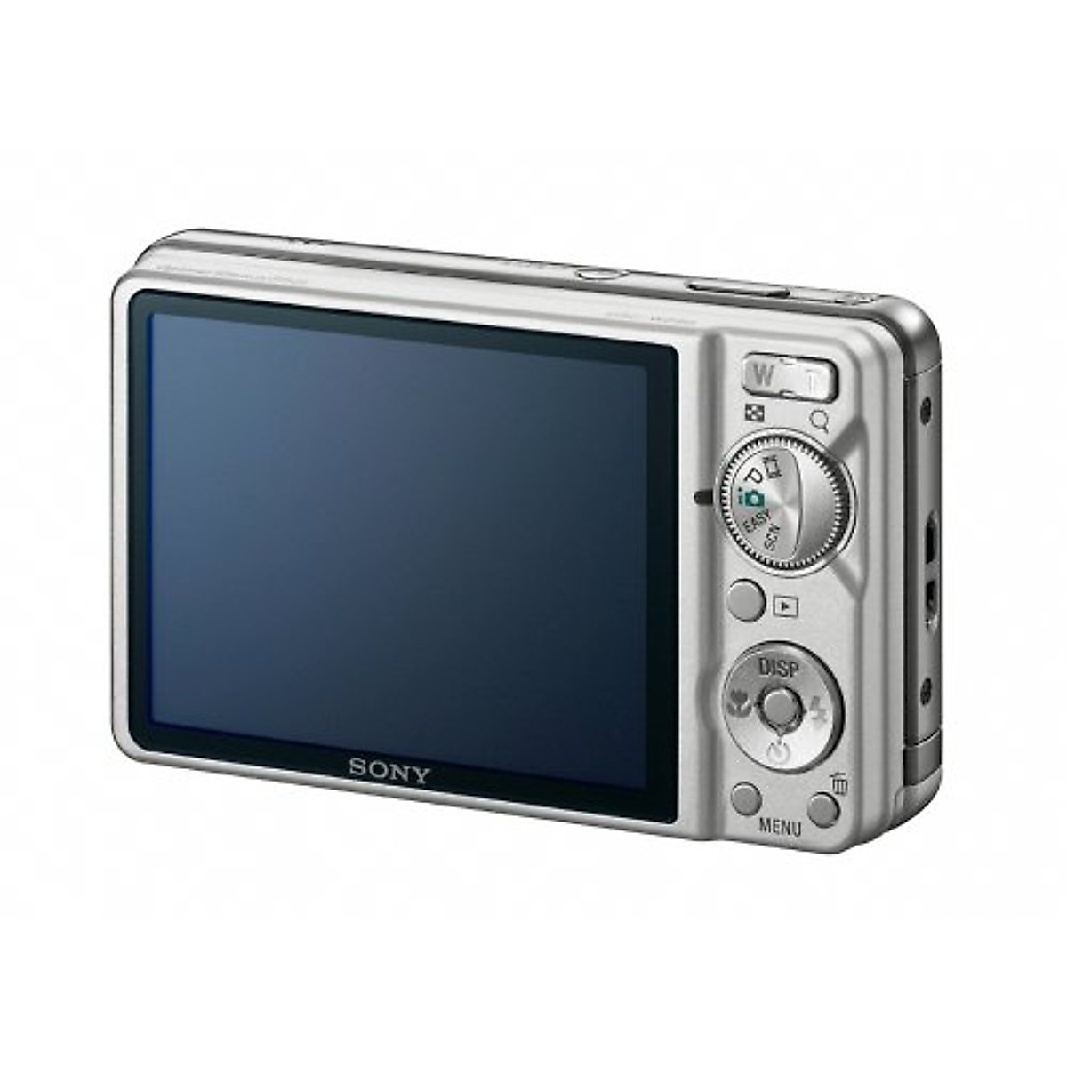Sony Cyber-shot DSC-W290 12.1 MP Digital Camera with 5x Optical Zoom and Super Steady Shot Image Stabilization (Silver)