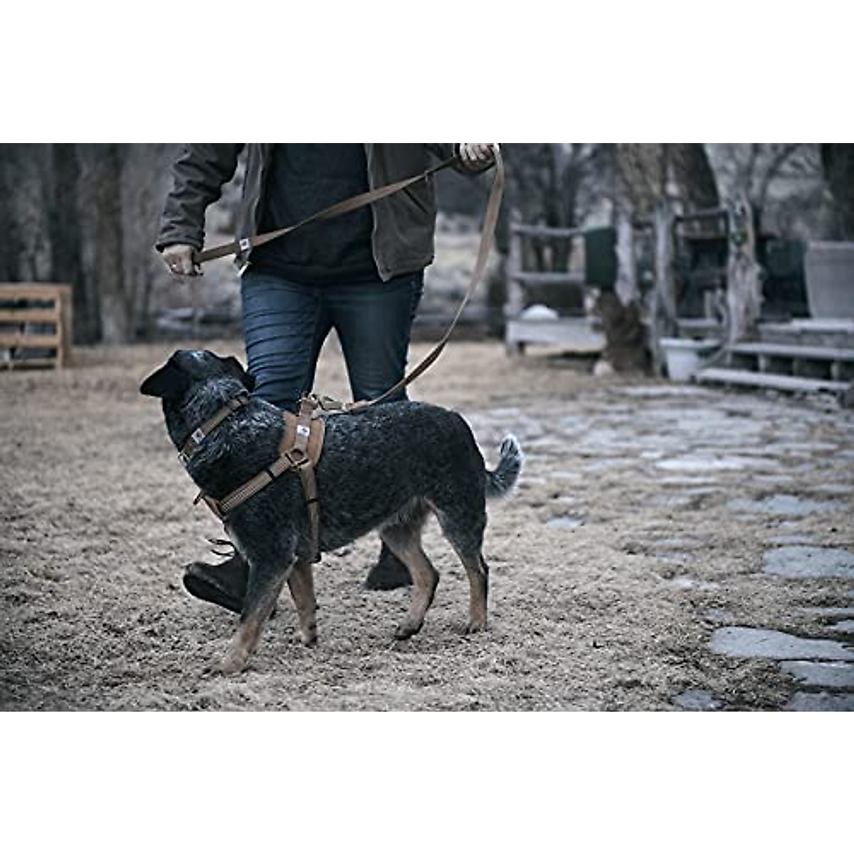 Carhartt Nylon Duck Training Dog Harness, Carhartt Brown, Medium