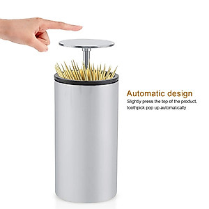 Automatic Stainless Steel Toothpick Dispenser Holder Container Box