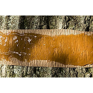 Tanglefoot Insect Barrier, 4.5 lb. Pail