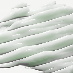 ion Miracle Leave In Conditioner, Vegan, Paraben Free, Adds Shine, Eliminates Frizz, Hydrating, 8 Oz