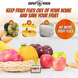Super Ninja Fruit Fly Traps for Indoors - Highly Effective Ecological Fruit Fly Trap - Environmentally Responsible Fruit Fly Killer - User Friendly - Up to 3 Weeks per Trap (4 Traps)