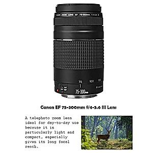 Paging Zone 850D (Rebel T8i) DSLR Camera Bundle with EF-S 18-55mm f/4-5.6 is STM Lens + EF 75-300mm f/4-5.6 III Lens + 2pc SanDisk 32GB Memory Cards + Professional Kit