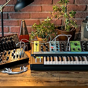 MOOG Grandmother Semi-Modular Analog Keyboard Synthesizer with 32 Keys, Built-In Arpeggiator, Sequencer and Spring Reverb Tank