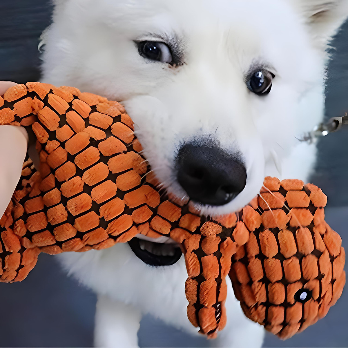 Dog Pet Chew Toys Plush Chewing Toy, Aggressive Chewers Durable Molars Training Toy, Resistant Cute Dinosaur Shape Pet Stuffed Toy for Teeth Grinding,Built-in air Pressure Sound Device