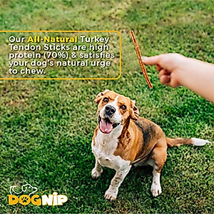 Gobble! 6-Inch Turkey Tendon for Dogs, Made in USA, 6 oz. (170g) Reseal Value Bags, All-Natural Hypoallergenic Dog Chew Treat |Sourced, Processed & Packaged in The USA | (Sticks (22-25 Pieces))