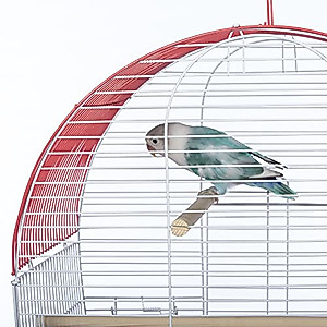Prevue Pet Products South Beach Dome Top Bird Cage, Coral (SP50100)