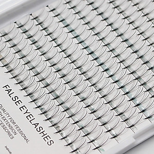 Large Tray-200pcs D Curl 5D Premade Fans Volume Eye Lashes Extensions Phoenix Tail Design Beauty Nature Long Soft and Light Individual False Eyelashes Cluster 10-16mm to Choose (13MM)