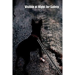 SUNNQ Reflective Dog Leash for Small Dogs, 6 FT (5/8 inch X 6FT, Black)