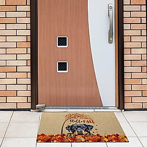 NeeQu Personalized Hello Fall Maple Leaves Door Mat Havanese Dog Autumn Decoration Doormat Home Entrance Way Floor Mat 23.6x35.4 Inch
