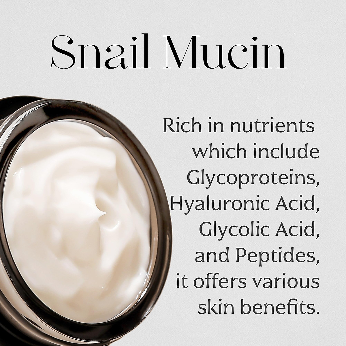 MIZON Black Snail All In One Cream Intensive Korean Skin Care Facial Moisturizing Snail Mucin Extract (2.54 fl oz)