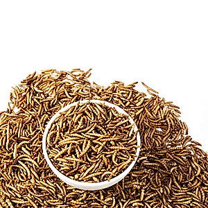RANZ 10LBS Non-GMO Dried Mealworms for Chickens, High Protein Meal Worms, Whole Large Mealworms for Wild Birds, Ducks, Hedgehogs, Reptiles. Premium Chicken Feed, Perfect Bird Food and Chicken Treats