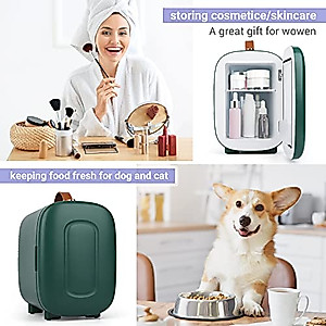 Living Enrichment Mini Fridge, 4L Skincare Fridge, Portable Small Refrigerator Cooler for Skincare, Beverage, Food, Cosmetics, Home, Bedroom, for Christmas Gift - Ever Green