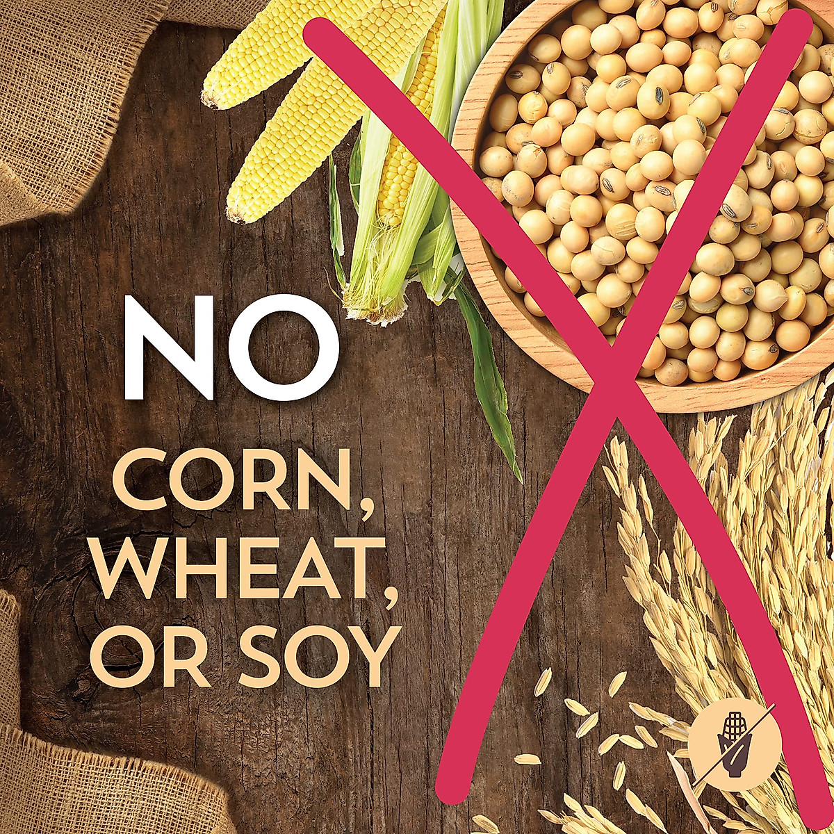 Wholesomes Birsppy Puppy Chicken Meal & Rice Dry Dog Food, Brown, 16.5 lbs. (2100087)