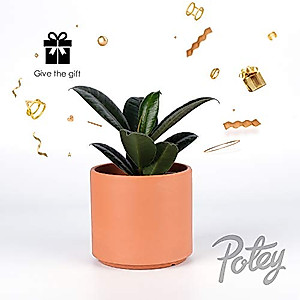 POTEY Terracotta Planter with Drainage Hole and Saucer - 6 Inch 5 Inch 4 Inch Indoor Cylindrical Plants Flower Containers Unglazed Clay Pots - Set of 3, 222231