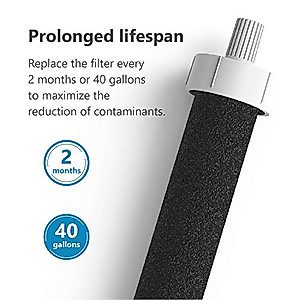 Waterspecialist Water Bottle Filter, Replacement for Brita BB06, Brita Hard Sided, Sport and Stainless Steel Bottle Filter, 5 Count