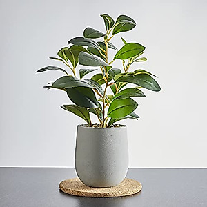 Aligeneral 8-Pack Cork Trivet Set, Cork Coasters- Round Corkboard Placemats Kitchen Hot Pads for Hot Pots, Pans, and Kettles, 7 x 7 x 0.4 Inches