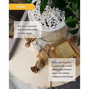 Cupcake Liners, 700 Pcs Muffin Liners, Standard Size Cupcake Wrappers of 2 Colors for Wedding and Birthday by DualFerv