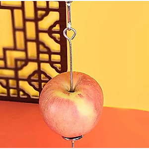 Pet Bird Food Fork Stainless Steel Hanging Bird Treat Feeders Bird Treat Skewer Parrot Foraging Toy for Parrots Cockatoo Cockatiel