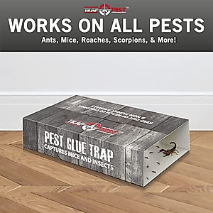 Sticky Mouse Traps Indoor for Home Ant Traps Indoor - Sticky Trap Indoor Home Bug Catcher Mice Traps for House Indoor Glue Traps Roach Trap Spider Traps for Inside Your Home (12 Traps)