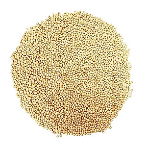 Backyard Seeds White Millet Bird Seed for Finches 8 Pounds (8 Pounds)