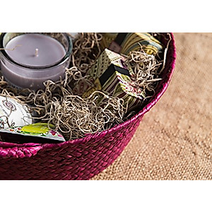 SuperMoss (26911) Spanish Moss Dried, Natural, 8 Ounces