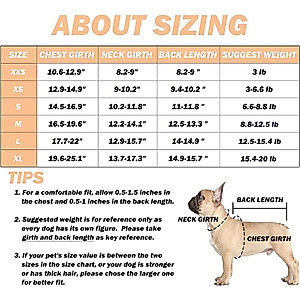 Dog Surgical Recovery Suit, Spay Recovery Suit for Small Medium Dog, Post Surgery Dog Onesie for Male Female Puppy (Grey Stars-L)