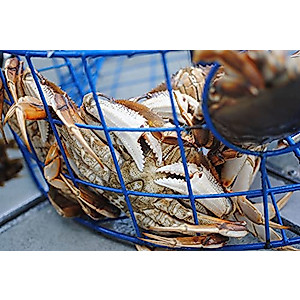 Promar Pacific Crabbing Kit, Blue, 30"