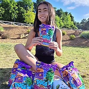 Dogs vs Squirls - Mystery Bag - 1pk - Chonk - Super-Soft & Bean-Filled Plushies! Collect These as Desk Pets, Fidget Toys, or Sensory Toys - Great for Kids, Boys, & Girls!, 6 inches (V2011)